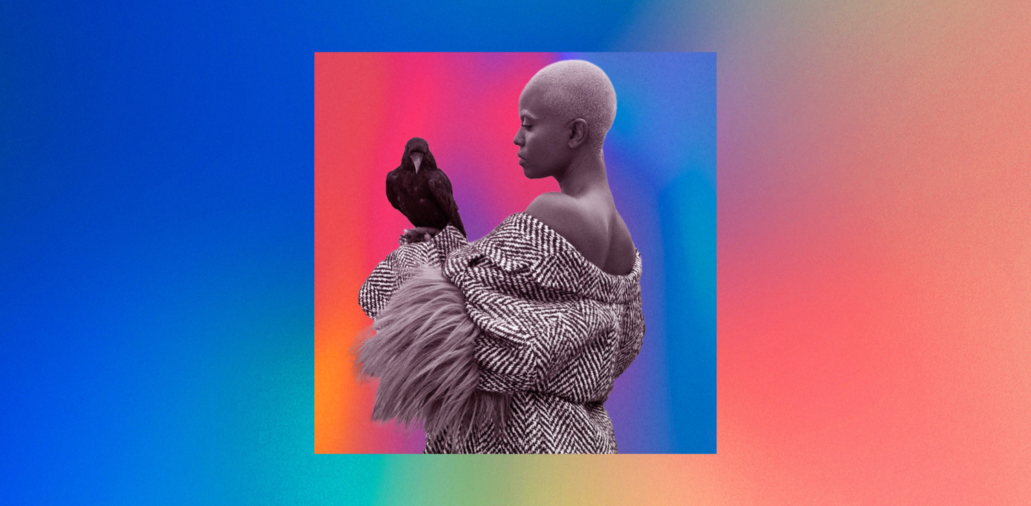 The 10 Best New Songs Out Today Nov 18th Nialler9